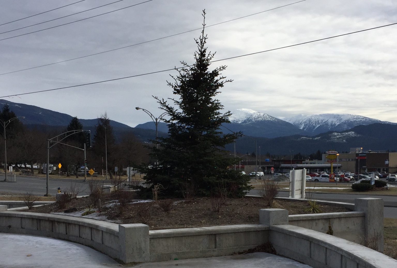 Kitimat Gyro Community Christmas Tree - Kitimat Gyro Club