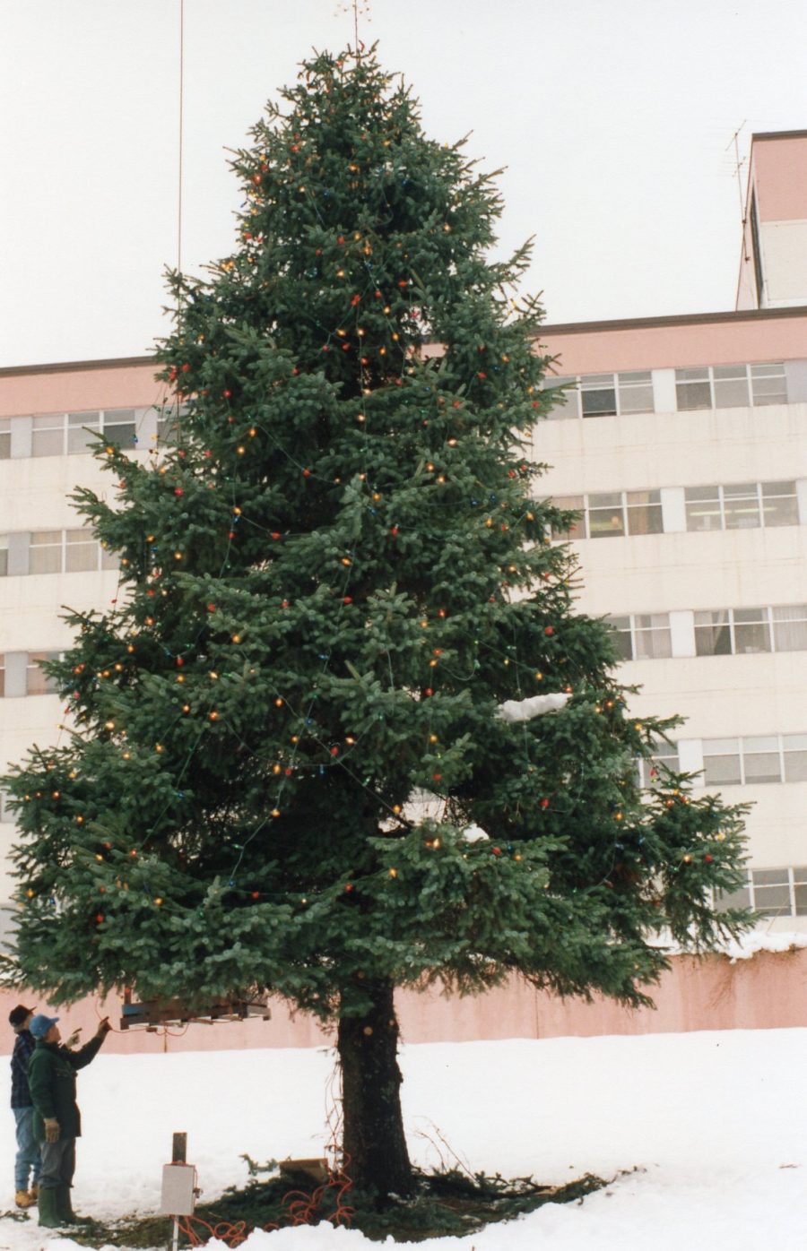 Kitimat Gyro Community Christmas Tree - Kitimat Gyro Club